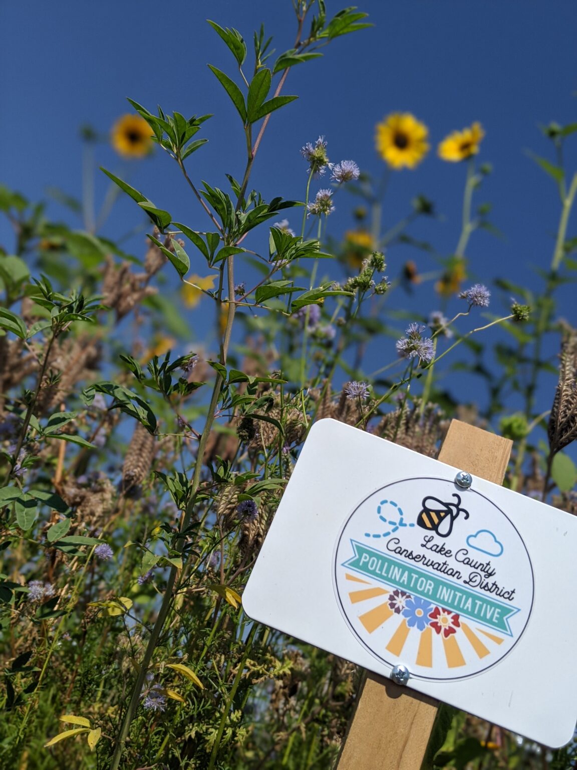 Pollinator Initiative – Lake County Conservation District